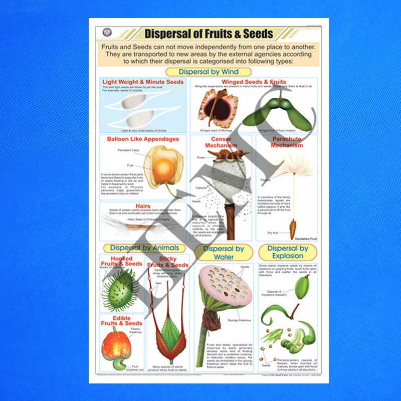 Dispersal of Fruits & Seeds - Laboratory-Products